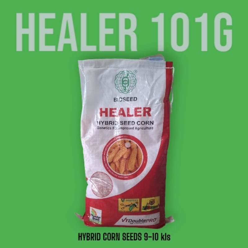 HEALER 101G Hybrid Corn Seeds by Bioseeds | Shopee Philippines
