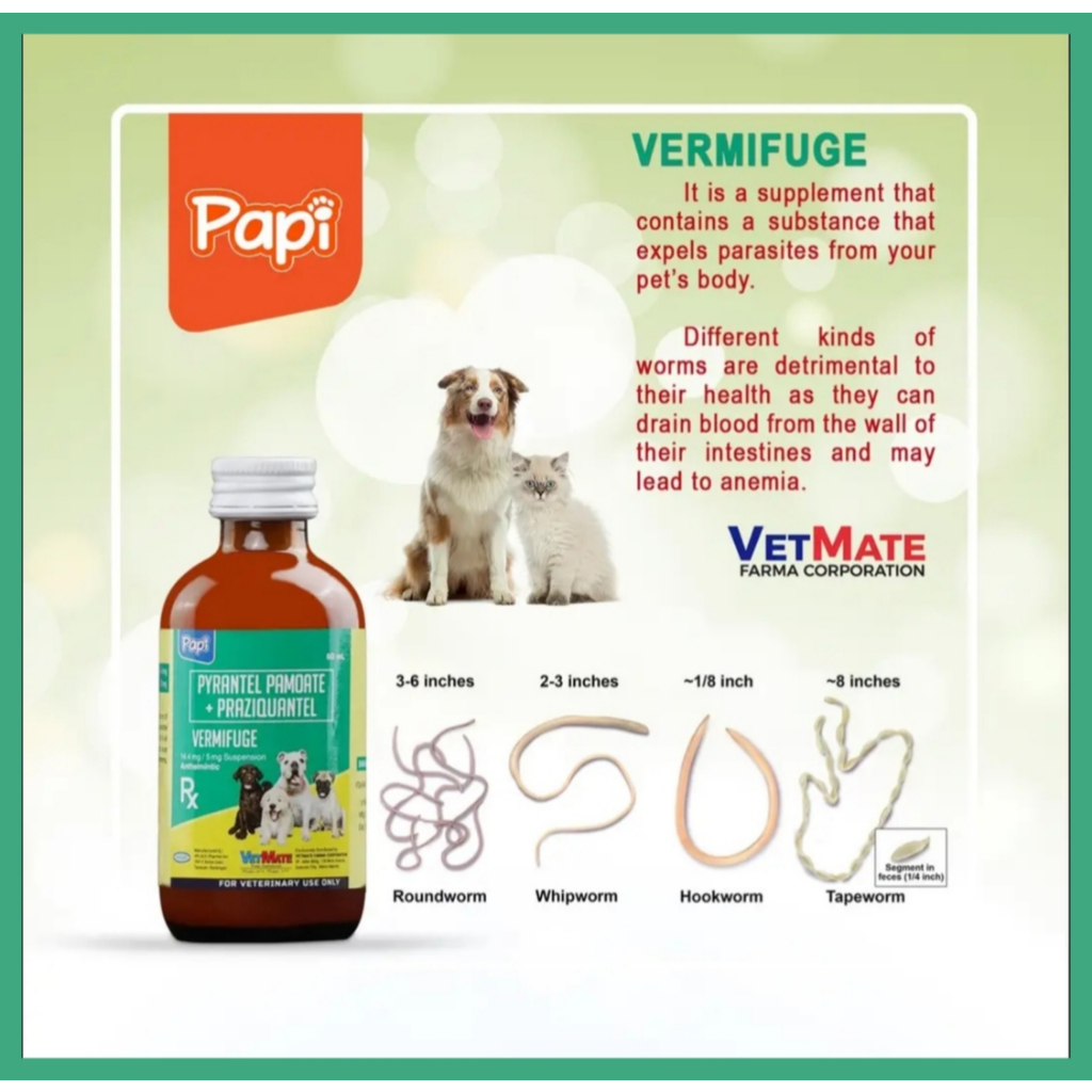 Papi Vermifuge 60mL Pet Suspension Syrup Dewormer For Puppies, Small ...
