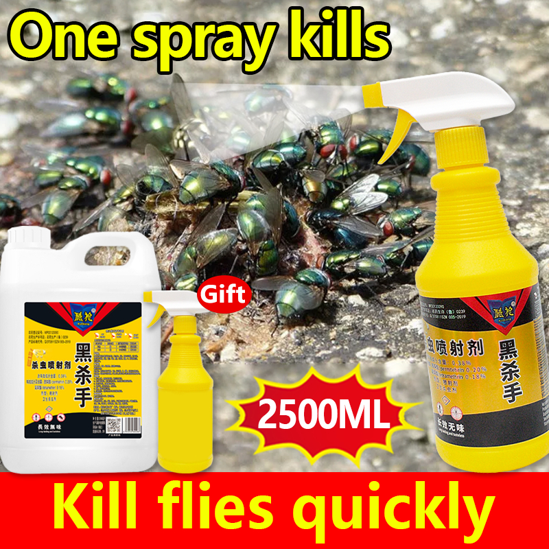 Fly Killer Spray for Indoor Use Non-toxic and Environmentally Friendly ...