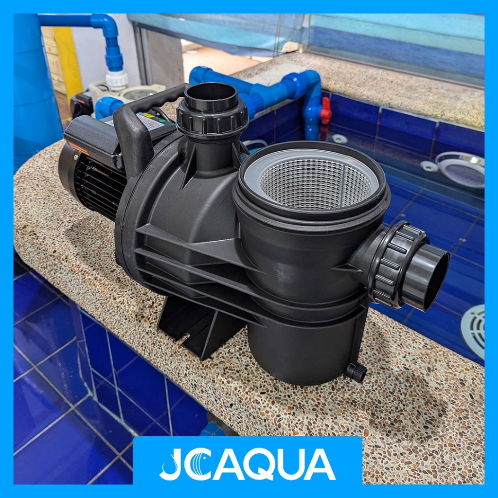 Circulating Pump and Motor Model JCP8-300 (3HP) for Swimming Pools by ...