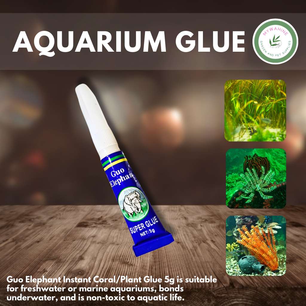 AQUARIUM GLUE WATER TANK ADHESIVE AQUARIUM PLANT GLUE | Shopee Philippines