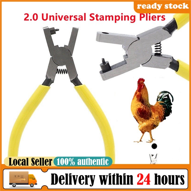 Universal Punching Tool 2mm Rooster Chick Toe Puncher Chicken Farm ...