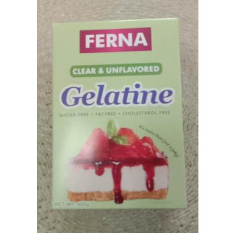 Ferna Gelatine Powder 500g | Shopee Philippines