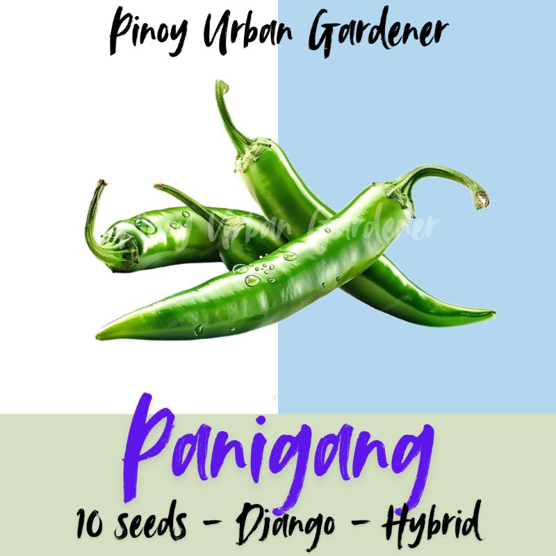 HIGH YIELDING PANIGANG SEEDS | Shopee Philippines