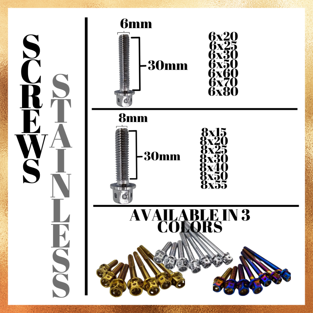 Motorcycle SCREW BOLTS STAINLESS for flarings, body panels, engine ...
