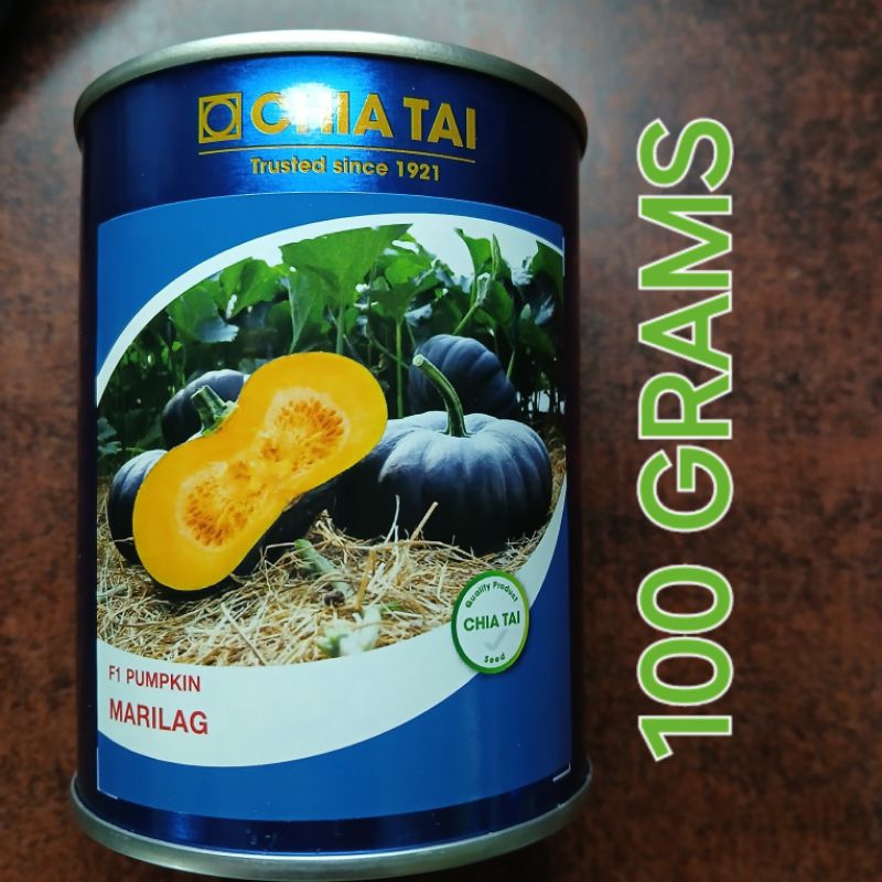 MARILAG F1 100 GRAMS (new name of matikas) HYBRID PUMPKIN SEEDS ...