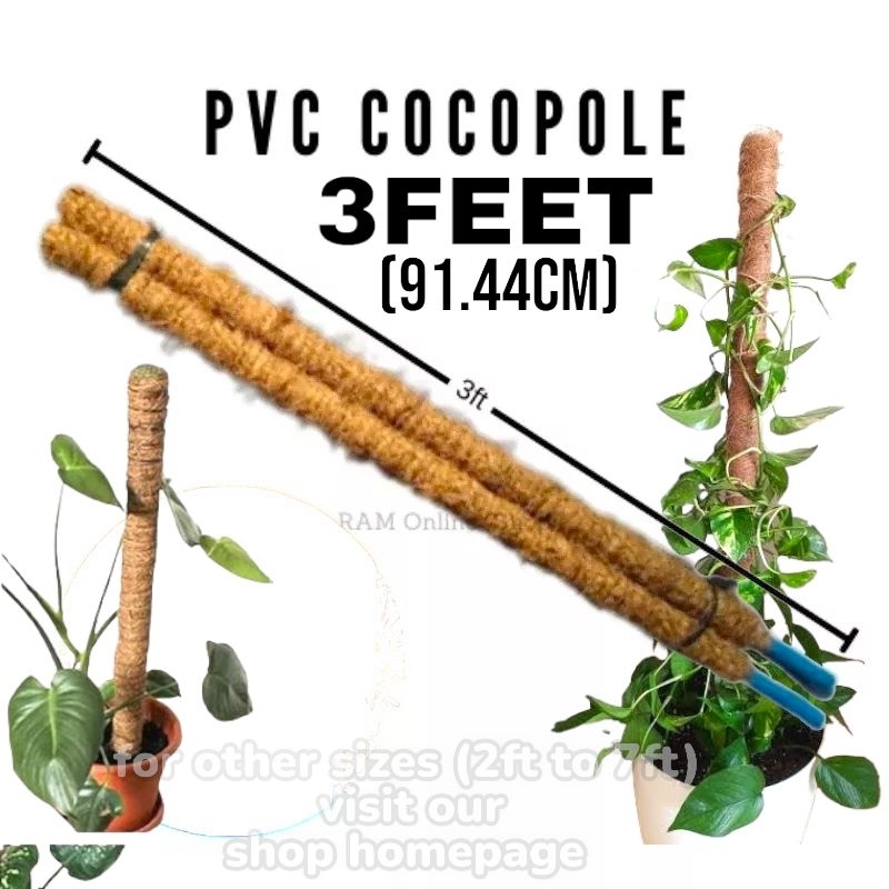 PVC Base 3FT. Coco Pole Plant Support for Trailing & Climbing Plants ...