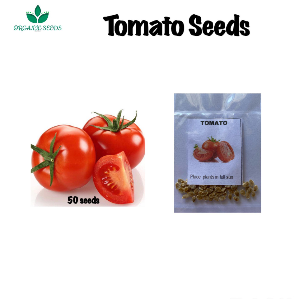 Tomato / Super Rope - 30seeds | Shopee Philippines