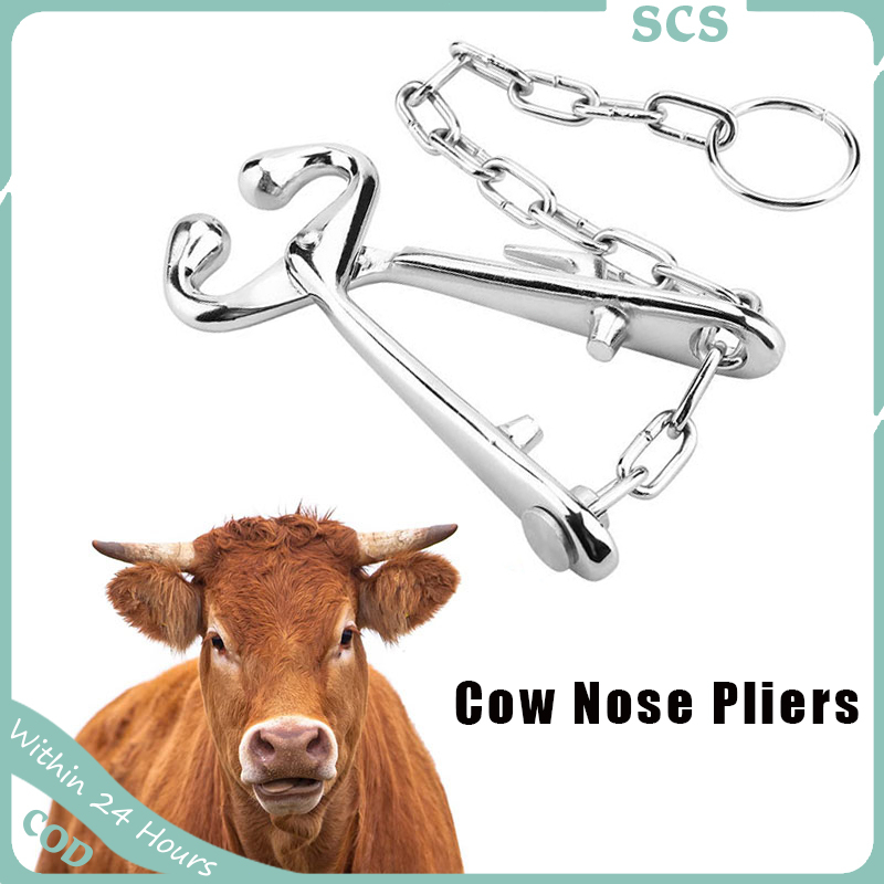 Stainless Steel Cow Nose Lead Cattle Nose Pliers Bovine Clip with Chain ...
