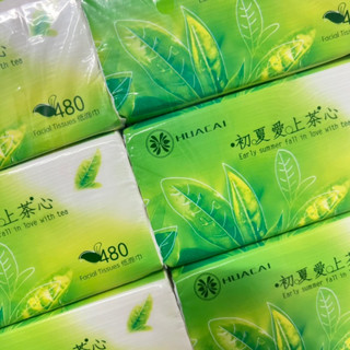 GreenTea Tissue 0.85kg 4ply(480 sheets x 8 Packs) Organic green tea ...