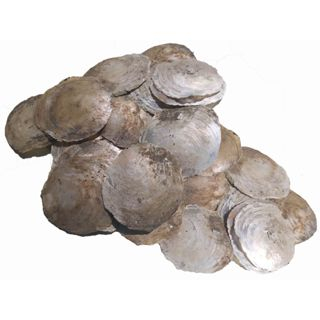 Natural capiz shell lukob at flat | Shopee Philippines