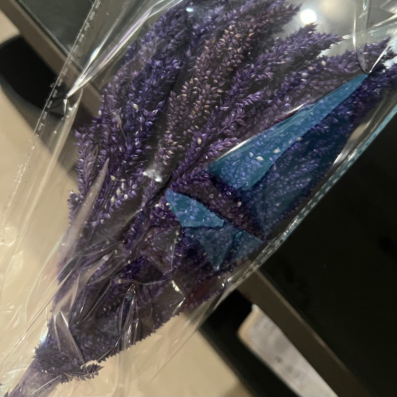 Dried Trigo Grass(LOCAL) | Shopee Philippines