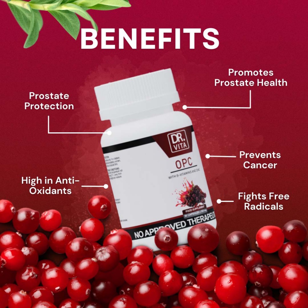 Dr Vita OPC with B-Vitamins and Zinc ( 30 Capsule ) | Shopee Philippines