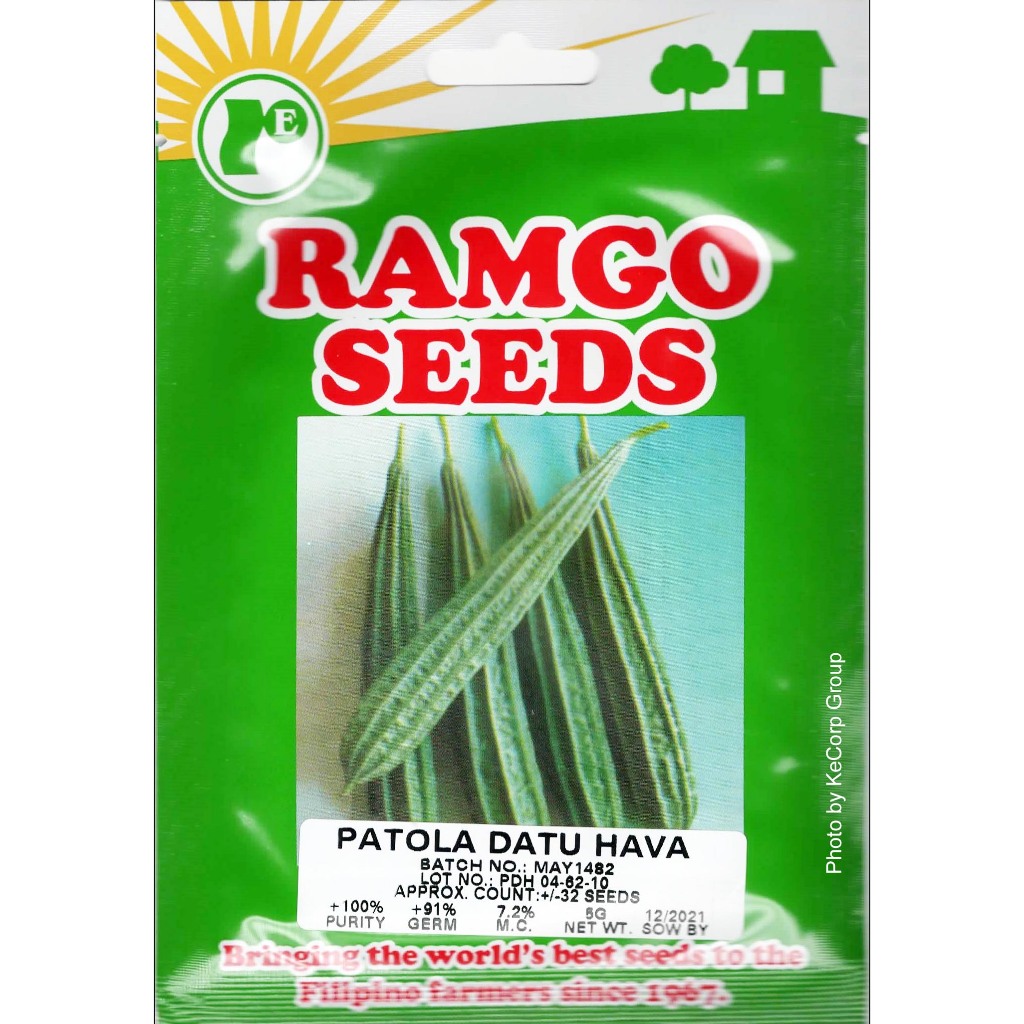 Ramgo Seeds - Pechay Pakchoi Eggplant Ampalaya Patola Upo Sitao Okra ...