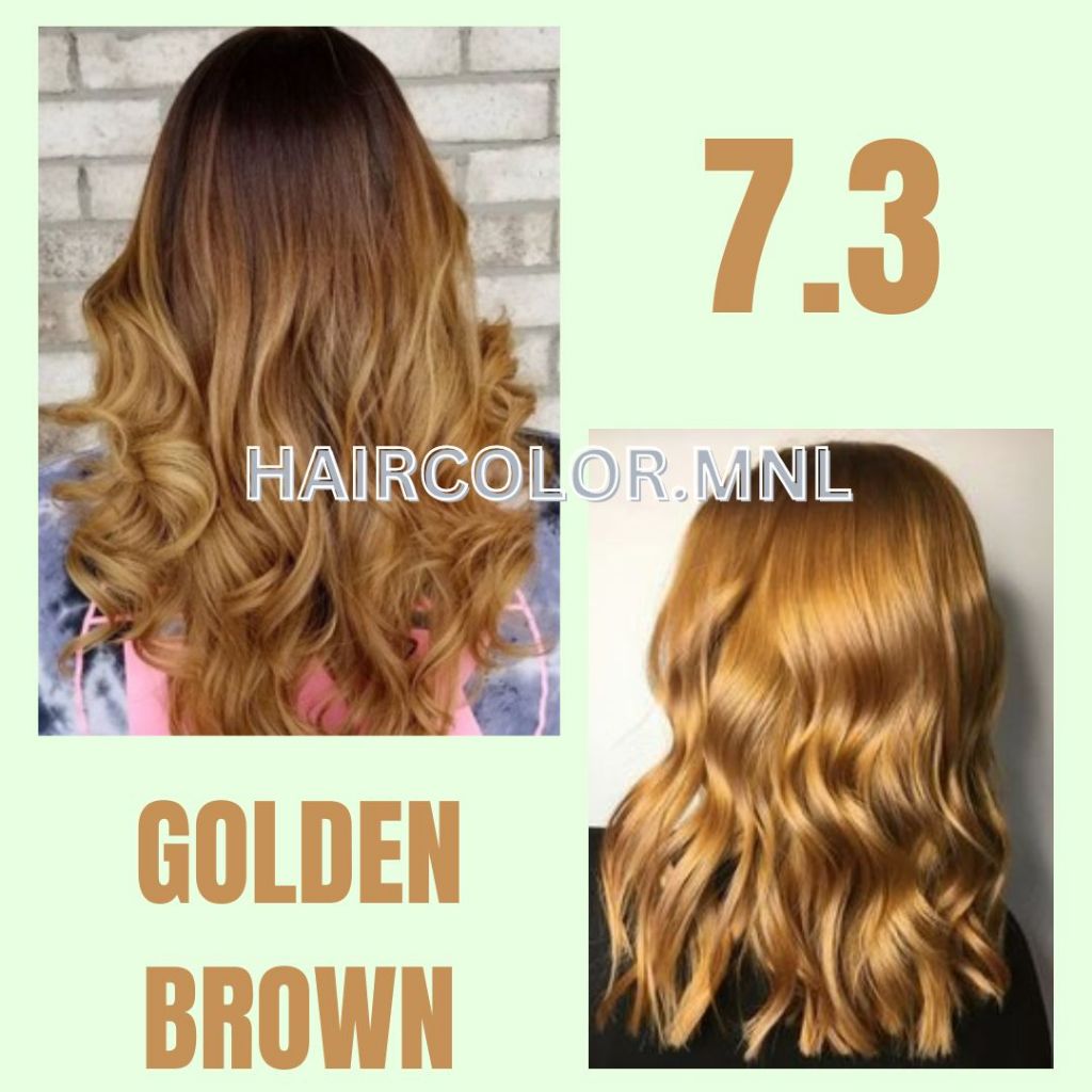 BREMOD 7.3 GOLDEN BROWN COLOR SET WITH OXIDIZER (100ML) | Shopee ...