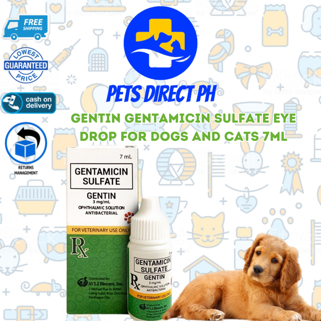 Gentin Gentamicin Sulfate Eye Drop for Dogs and Cats 7ml | Shopee ...