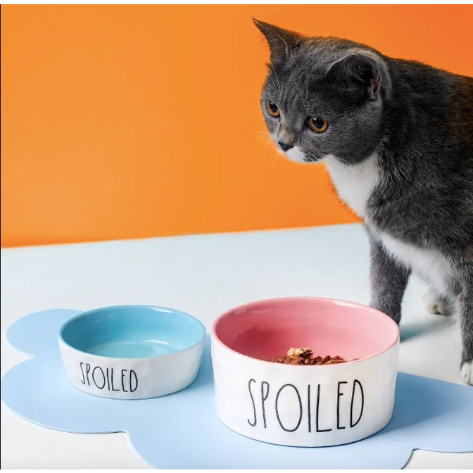 Rae Dunn Spoiled Big Pet Cat Dog Bowl Round Dish ♥ La Seramika ♥ ...