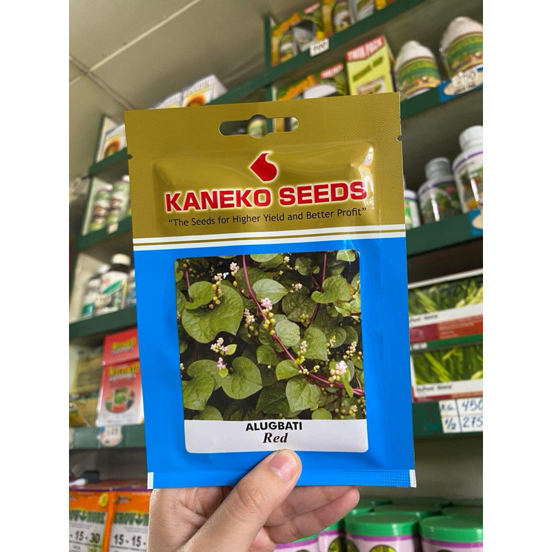 Alugbati Seeds - Red by Kaneko Seeds | Shopee Philippines