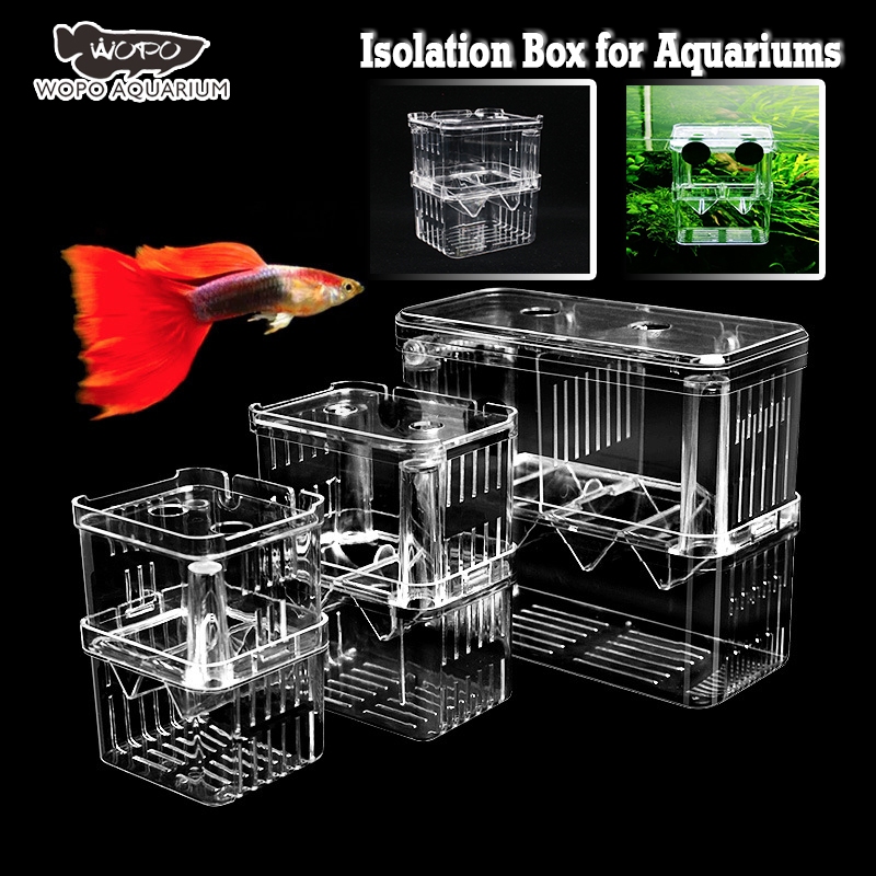 Isolation Box for Aquariums Isolation incubator Hatching box Acrylic ...