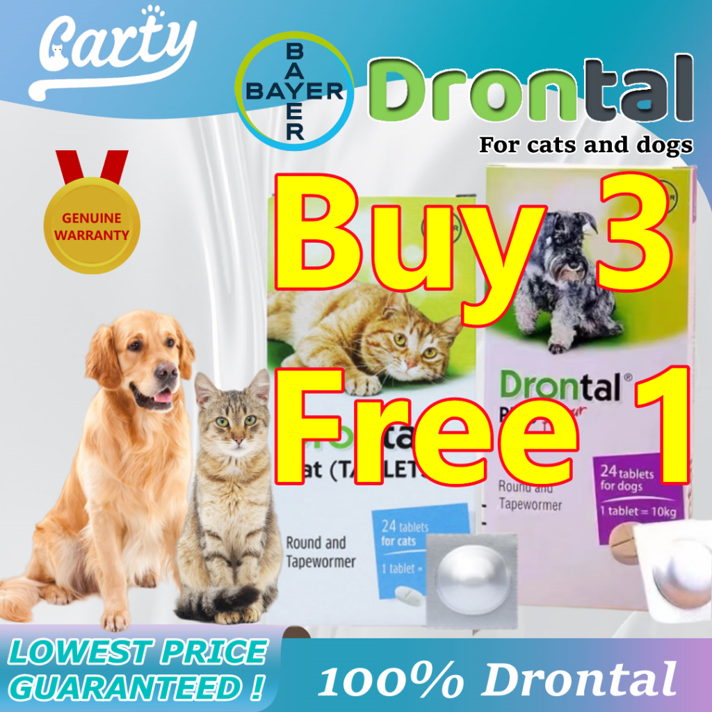 Drontal Plus 1 Tablet Tasty Dewormer Tablets for Dogs Cats（Buy 3 Free 1 ...