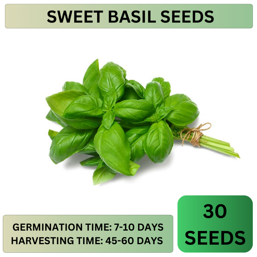 VALUE PACK - HIGH QUALITY VEGETABLE SEEDS/ALL KINDS OF BRANDED SEEDS ...