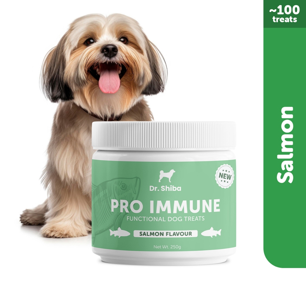 Dr Shiba Pro Immune Healthy Dog Treats Snack: Dog Multivitamins - Dog ...