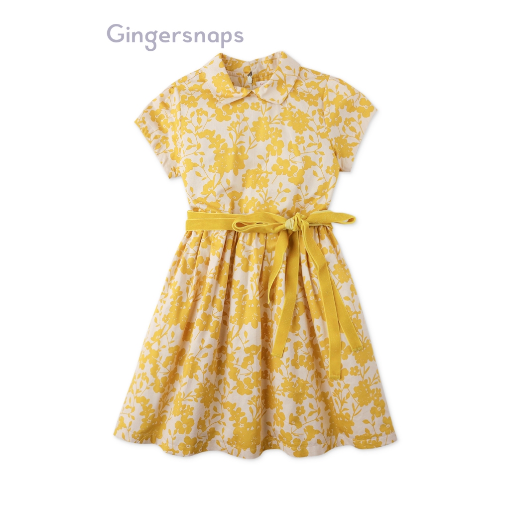 Gingersnaps Girls' Floral Print Waisted Dress with Collar and Sash ...