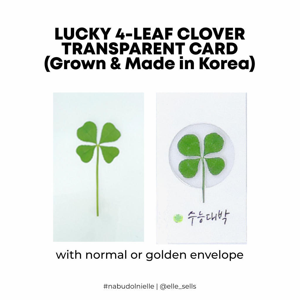 Lucky Four Leaf Real Clover Transparent Card | Made in Korea With ...