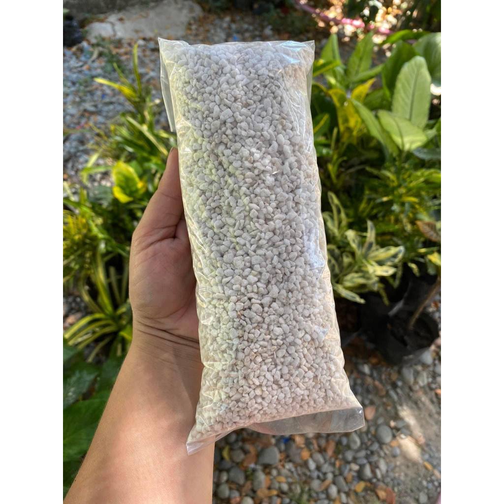 Perlite 50 grams per pack | Shopee Philippines