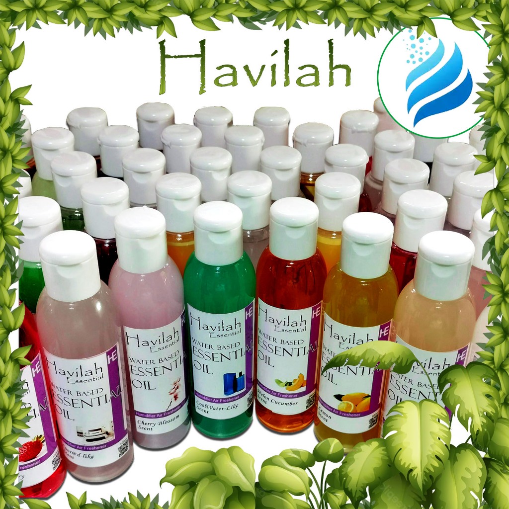 Havilah Water Based Essential Oil Air Freshener and Humidifier Premium ...