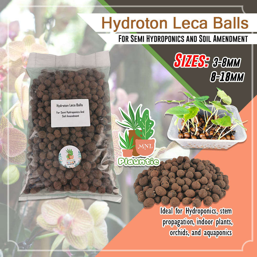 Hydroton Leca Balls Premium Quality for Hydroponic Aquaponic System | Shopee Philippines