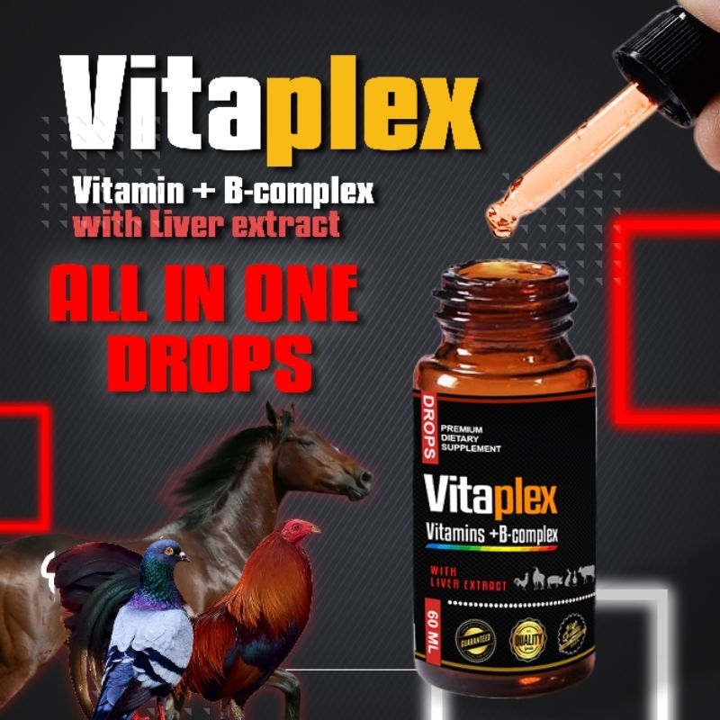 VITAPLEX Vitamins + B-Complex Drops 30ML (All in one Drops) | Shopee Philippines