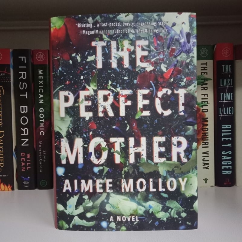 The Perfect Mother by Aimee Molloy (Hardcover) | Shopee Philippines
