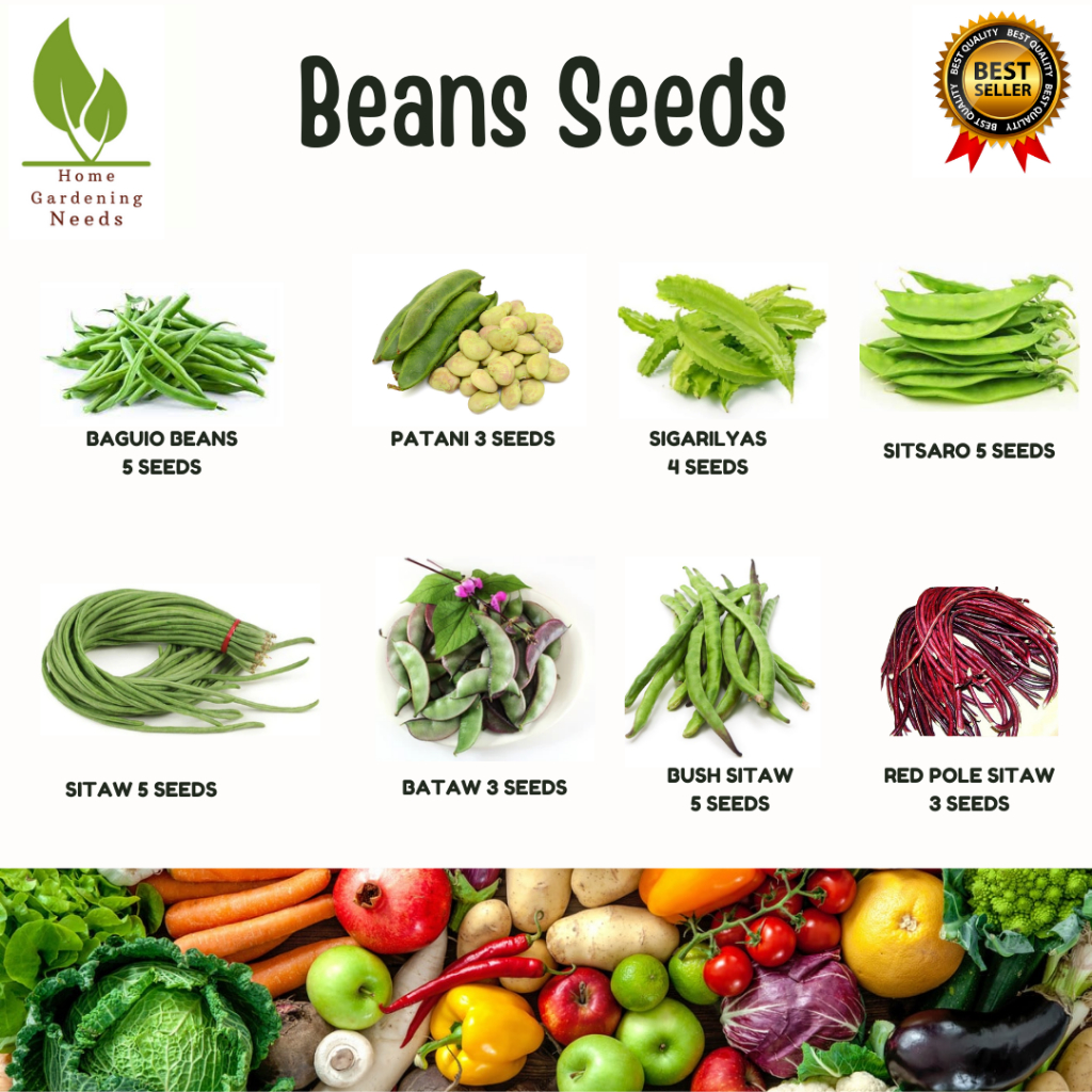 SITAO/BEANS SEEDS - SITAO BATAW PATANI SIGARILYAS BAGUIO BEANS | Shopee ...