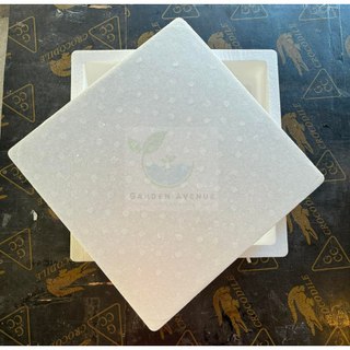 (NO HOLES) GROW BOX/STYRO BOX (BRANDNEW) - WITH 9PCS. STYRO CUPS - FOR ...