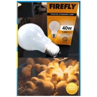 Shop incandescent light bulb for Sale on Shopee Philippines