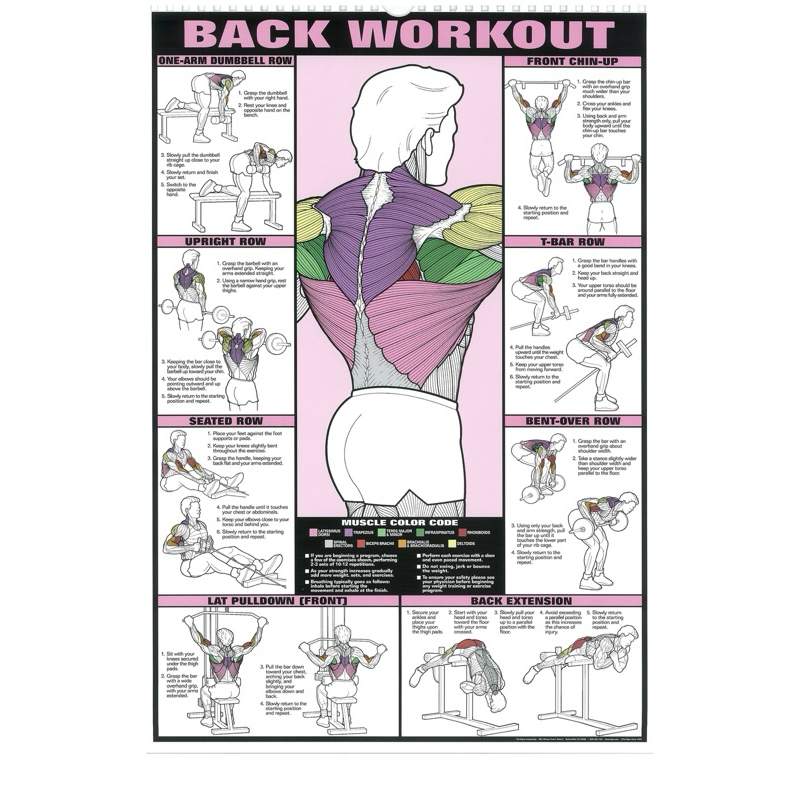 gym muscle core training exercise chart poster print wall decor ...