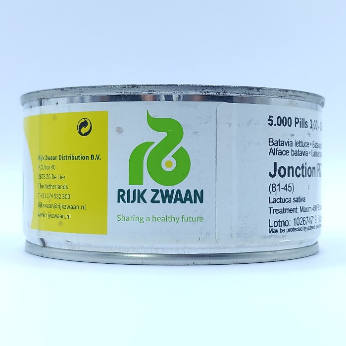 RIJK ZWAAN JONCTION RZ BATAVIA LETTUCE (5000 PILLS) | Shopee Philippines