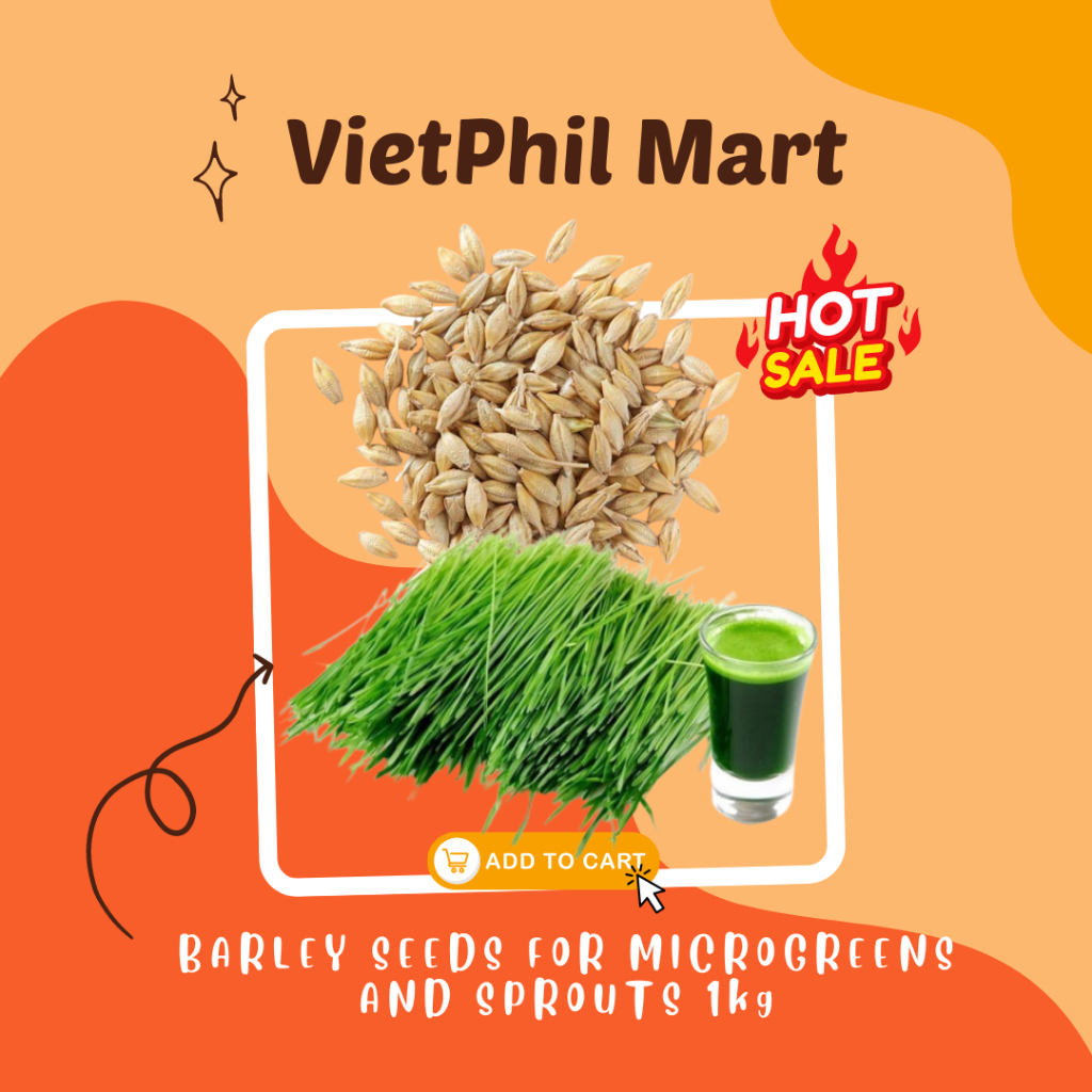 Original Barley Seeds for microgreens and Sprout 1kg | Shopee Philippines