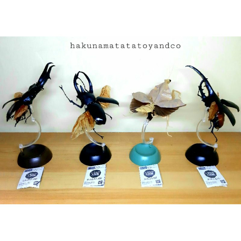 Bandai Dango Mushi Ikimono Encyclopedia Beetle/Mantis/Kuwagata Insect ...