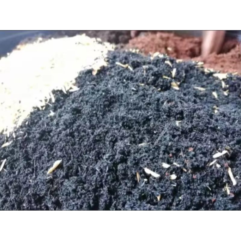 Garden Soil-Carbonized Rice Hull(1 Kilo) Soil for Plants with ...