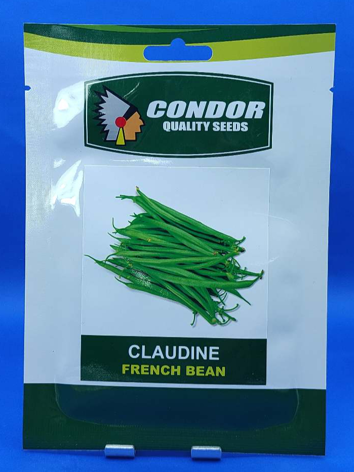 CONDOR CLAUDINE FRENCH BEANS BUSH TYPE (5 GRAMS OR AROUND 25 SEEDS ...