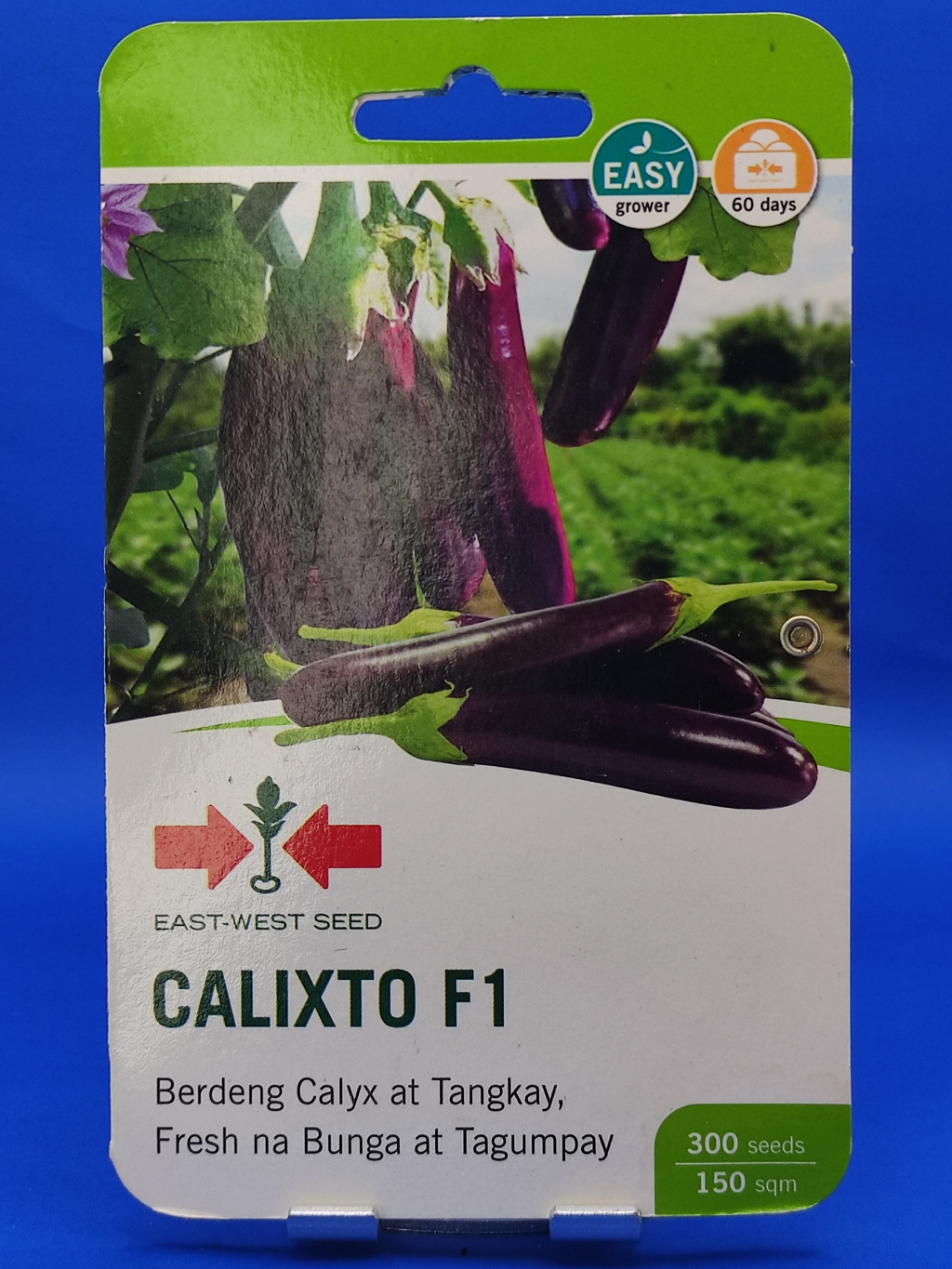 EAST-WEST SEED CALIXTO F1 HYBRID EGGPLANT SEEDS POUCH (300 SEEDS ...