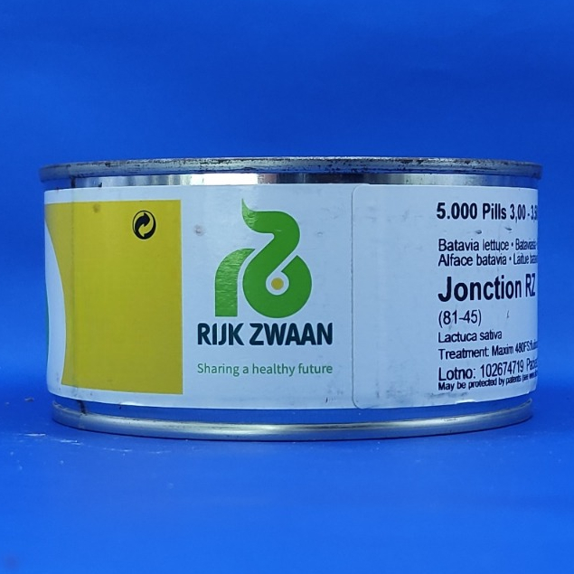 RIJK ZWAAN JONCTION RZ BATAVIA LETTUCE (5000 PILLS) | Shopee Philippines
