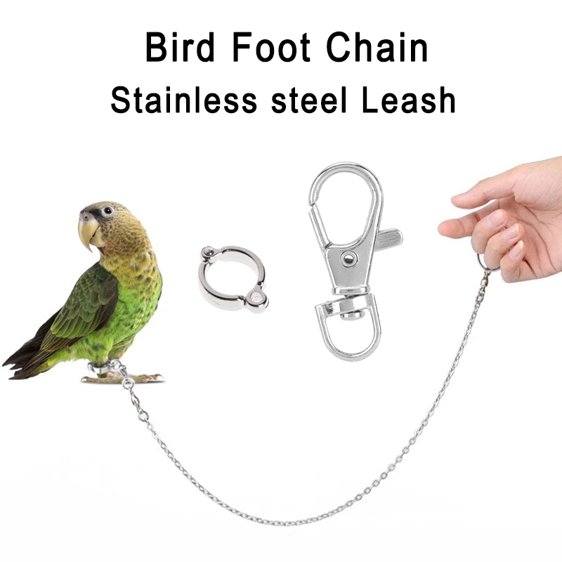 Stainless Steel Parrot Bird Chain Flying Rope with Training ring for ...