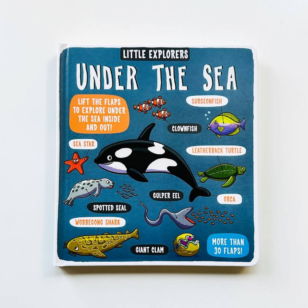 Little Explorers: Under The Sea (Board Book) | Shopee Philippines