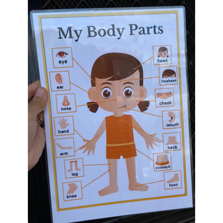 Body Parts Chart Laminated Wall Poster A4 size for Kids Educational ...