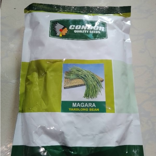 MAGARA YARD LONG BEAN SEEDS SITAO SEEDS -CONDOR SEEDS-1 KILO ORIGINAL ...