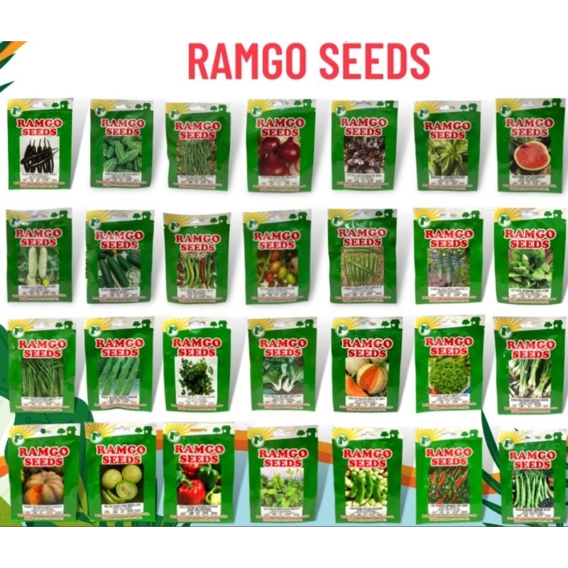 per pack Ramgo Seeds Pichay Lettuce Wansoy chives onion leaves leafy ...