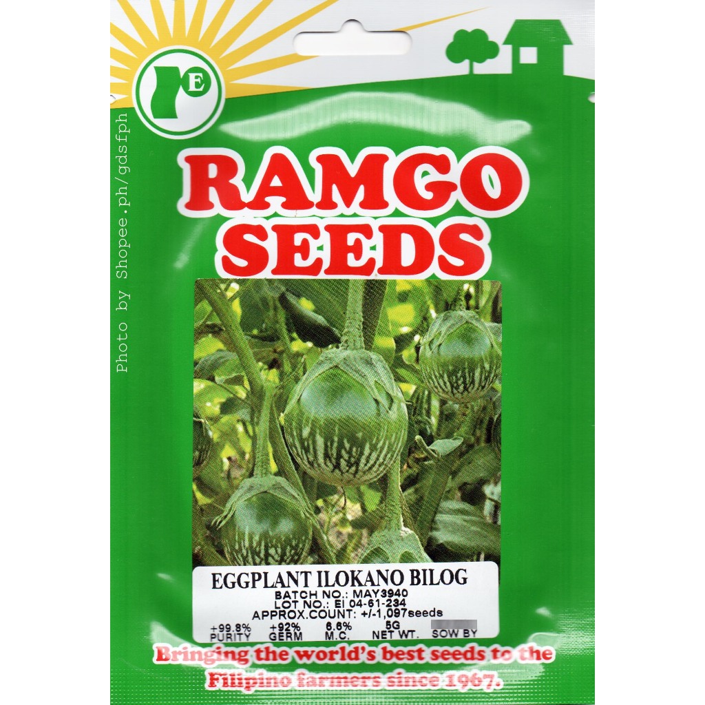 Ramgo RPD Seeds Eggplant Ilokano Bilog Variant (Talong) KECORP_S1 ...
